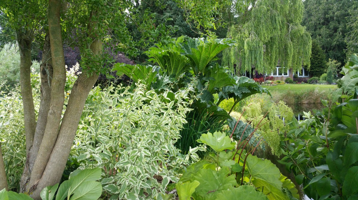 Tapestry Garden Design – Garden Renovation Consultations